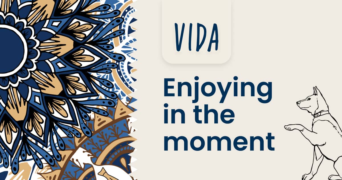 Dogs - Vida Pet Care